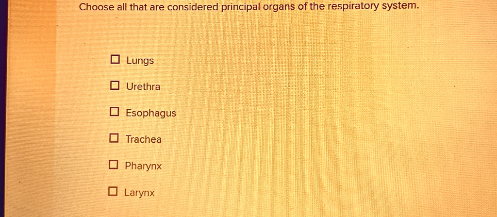 Choose all that are considered principal organs of the respiratory ...