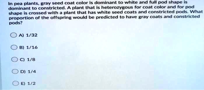 in pea plants gray seed coat color is dominant to white and full pod ...