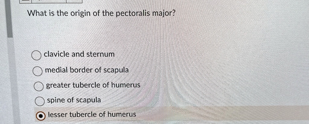 what is the origin of the pectoralis major clavicle and sternum medial ...