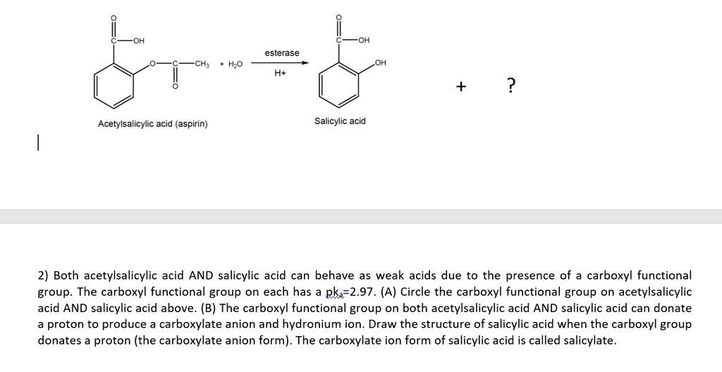 SOLVED: esterase CH Hzo Acetylsalicylic acid (aspirin) Salicylic acid 2 ...