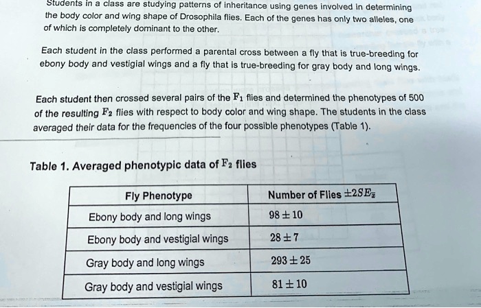 students in class are studying patterns of inheritance using genes involved in determining the ...