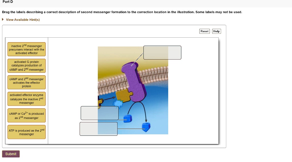 Part D Drag the labels describing a correct description of second ...