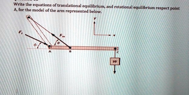 write the equations of translational equilibrium and rotational equilibrium afor the model of ...