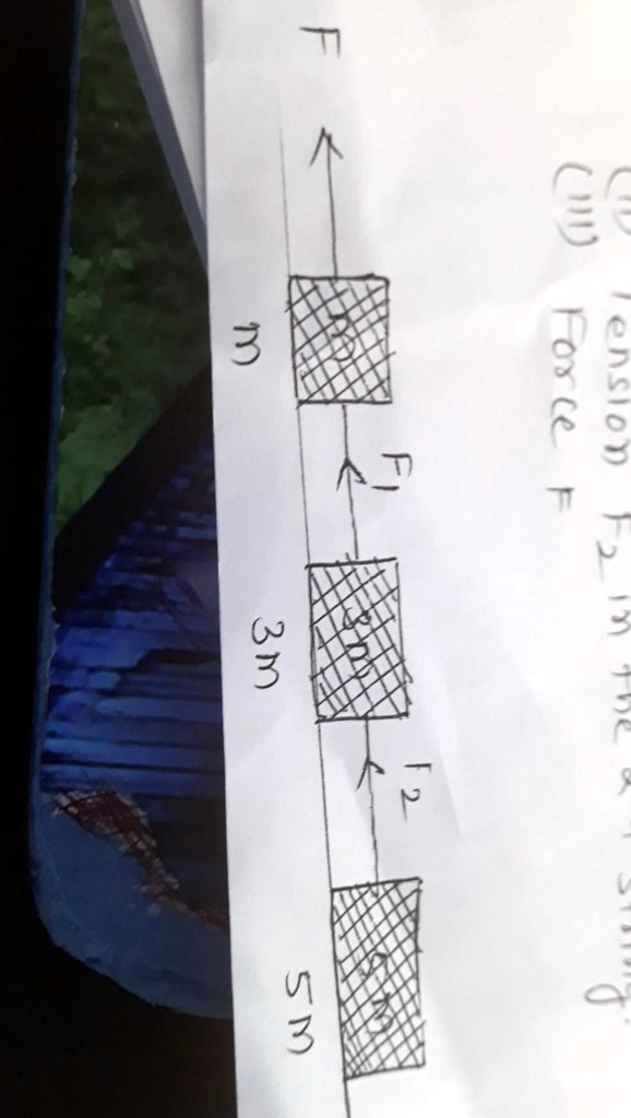 SOLVED: In the given figure, three blocks connected by strings have masses M, 3m, and 5cm ...