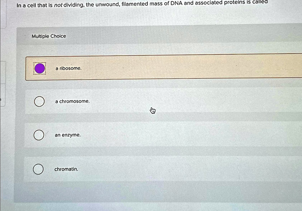 In a cell that is not dividing, the unwound, filamented mass of DNA and ...