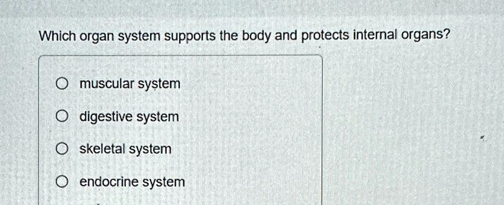 which organ system supports the body and protects internal organs ...