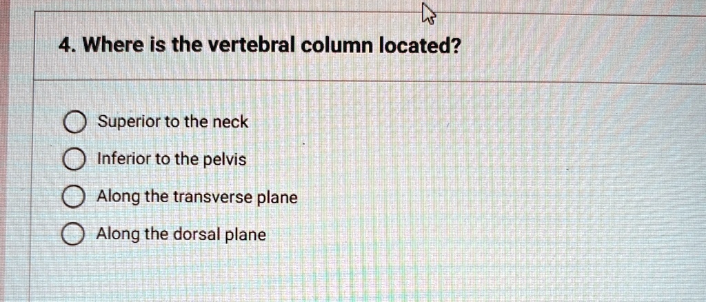 4. Where is the vertebral column located? Superior to the neck Inferior ...