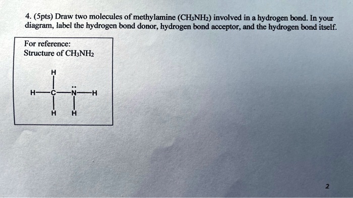SOLVED: (Spts) Draw two molecules of methylamine (CH3NH2) involved in a ...