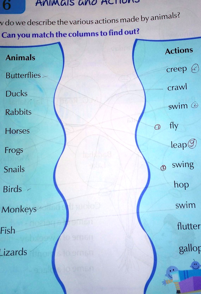 SOLVED: 'animals and their actions'