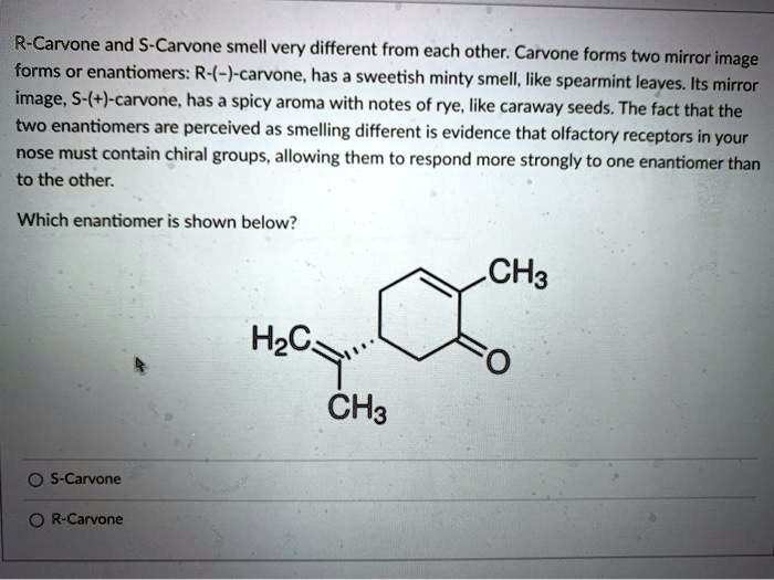 r carvone and carvone smell very different from each other carvone ...