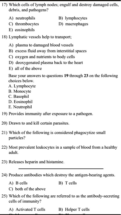 SOLVED: 17) Which cells of lymph nodes; engulf and destroy damaged ...