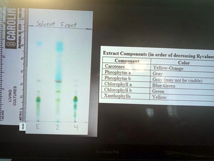 Inches Living Cultures Carolin Metric 2 Solvent Front E 2 4 Extract Components In Order Of