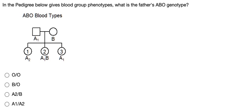in the pedigree below gives blood group phenotypes what is the fathers ...