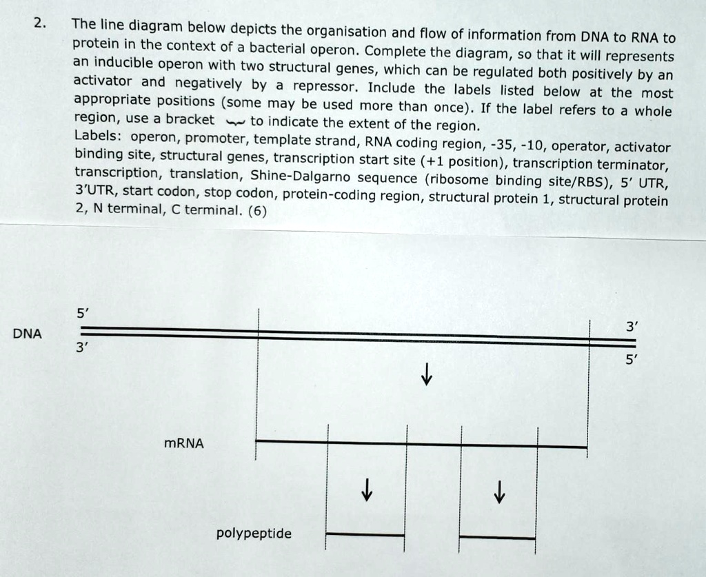 2. The line diagram below depicts the organisation and flow of ...