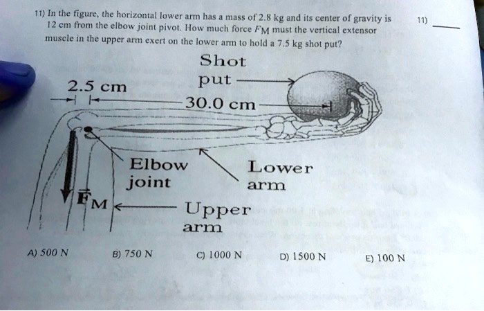 SOLVED: 11 In the tigure. the horizontal lower an has mass 0f 2.8 kg ...