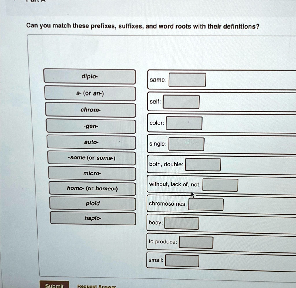 Can you match these prefixes, suffixes, and word roots with their ...