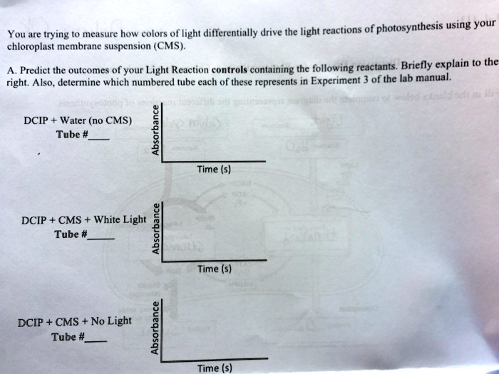 You are trying to measure how colors of light differentially drive the ...