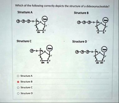 which of the following correctly depicts the structure of a ...