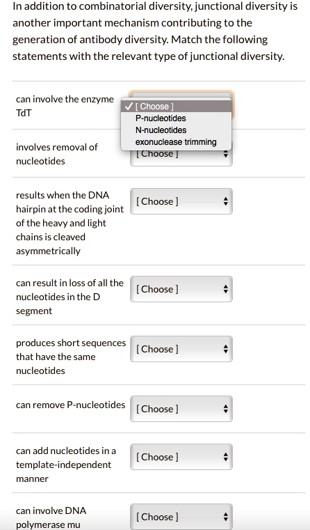 in addition to combinatorial diversity junctional diversity is another ...