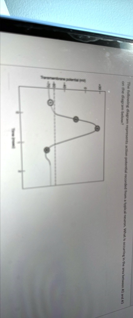 The following diagram represents action potential recorded from a ...