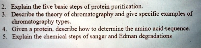explain the five basic steps of protein purification 3 describe the ...