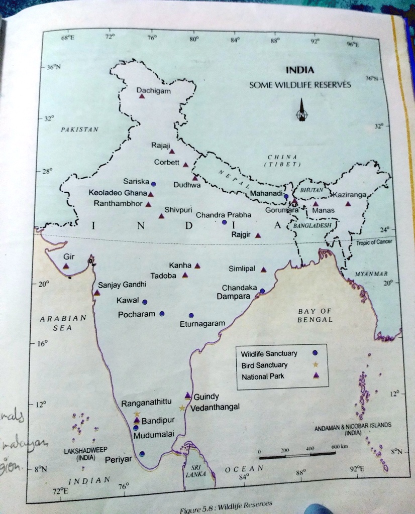 Please correct the map pointing and points on the political map.