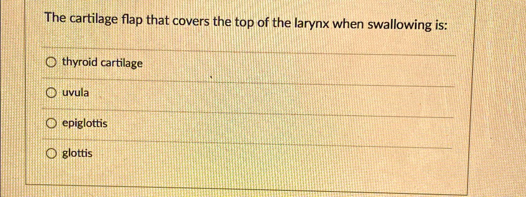 The cartilage flap that covers the top of the larynx when swallowing is ...