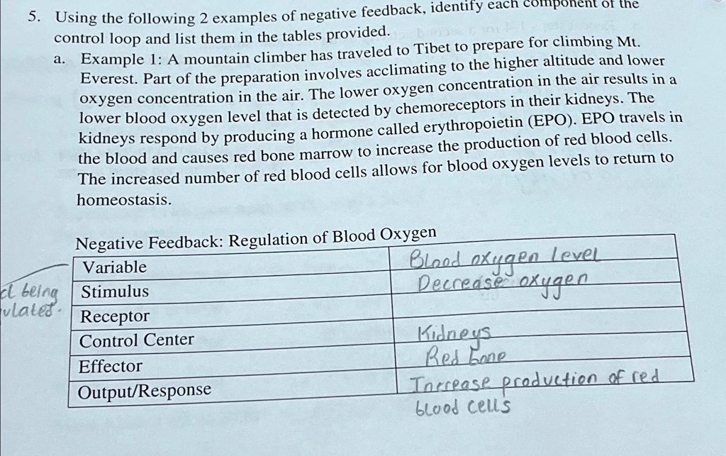 SOLVED: Using the following 2 examples of negative feedback, identify ...