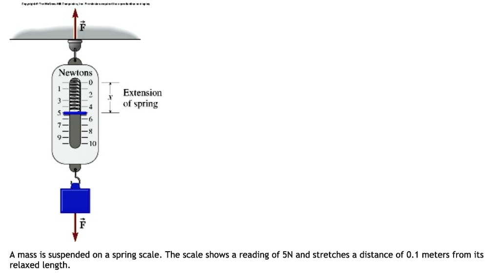 SOLVED: Newtons Extension of spring A mass is suspended on a spring ...
