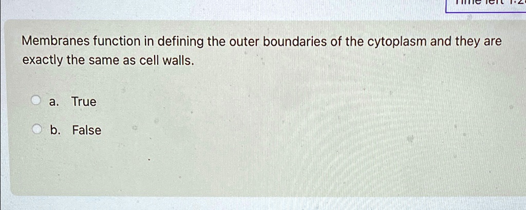 Membranes function in defining the outer boundaries of the cytoplasm ...