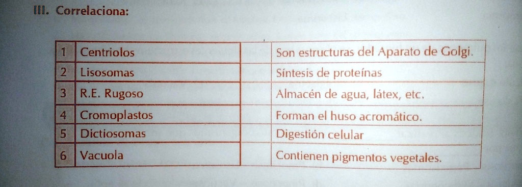 SOLVED: 1. Correlaciona *Ayuda por favor IlI. Correlaciona: Centriolos ...