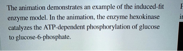 SOLVED: The animation demonstrates an example of the induced-fit enzyme ...