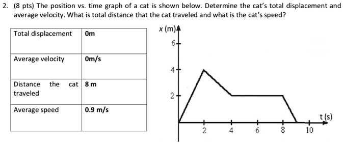 8 pts the position vs time graph of cat is shown below determine the ...