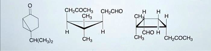 O CH2COCH3 CH3 CH(CH3)2 CH2CHO H H CH3 H H CHO H CH3 CH3 CH2COCH3