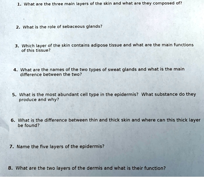 SOLVED: 1. What are the three main layers of the skin and what are they ...