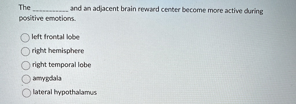 the and an adjacent brain reward center become more active during ...