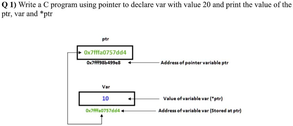 Solved Q 1 Write A C Program Using A Pointer To Declare A Variable With A Value Of 20 And