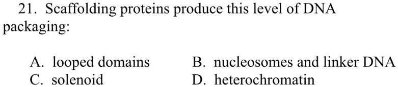 SOLVED: 21. Scaffolding proteins produce this level of DNA packaging: A ...