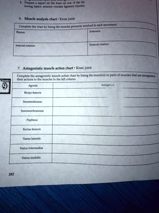 SOLVED: Titlewithtopic: Muscle Analysis and Antagonistic Muscle Action ...