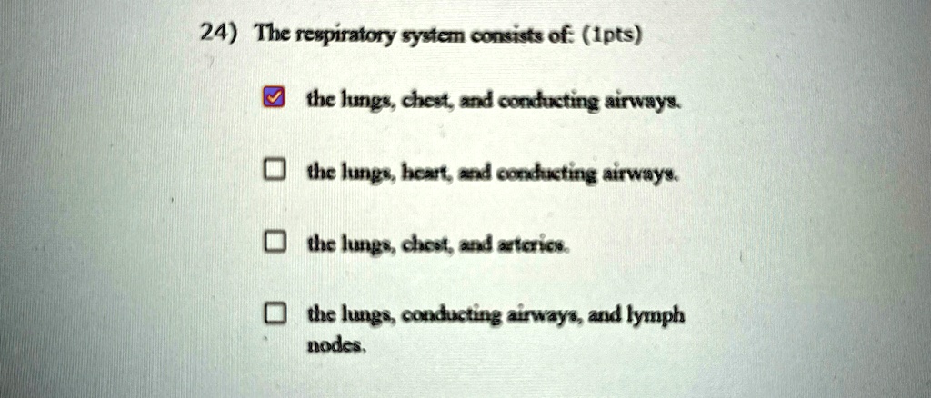 24) The respiratory system consists of: (1pts) ? the lungs, chest, and ...