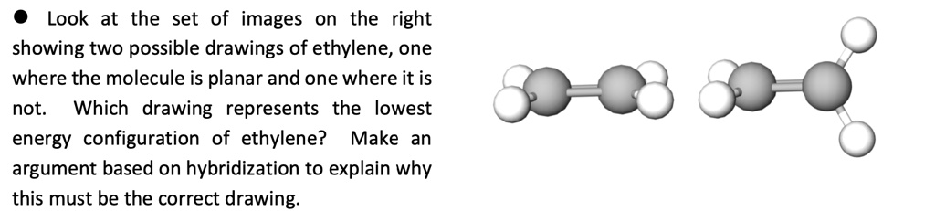 SOLVED: Look at the set of images on the right showing two possible ...