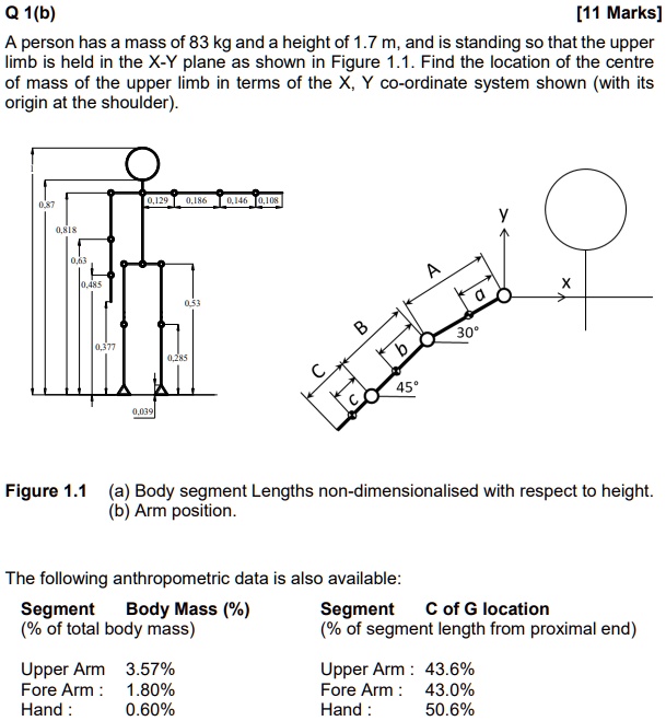 Texts: Q 1(b) [11 Marks] A person has a mass of 83 kg and a height of 1 ...