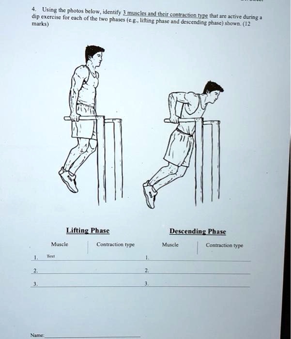 SOLVED: Using the photos below, identify 3 muscles and their ...