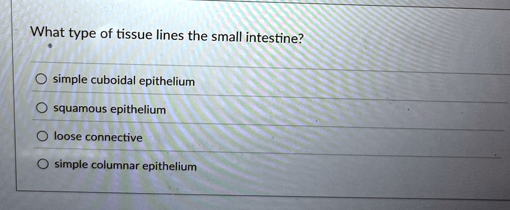 what type of tissue lines the small intestine simple cuboidal ...