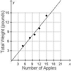 naomi recorded the total weight of different numbers of apples her ...