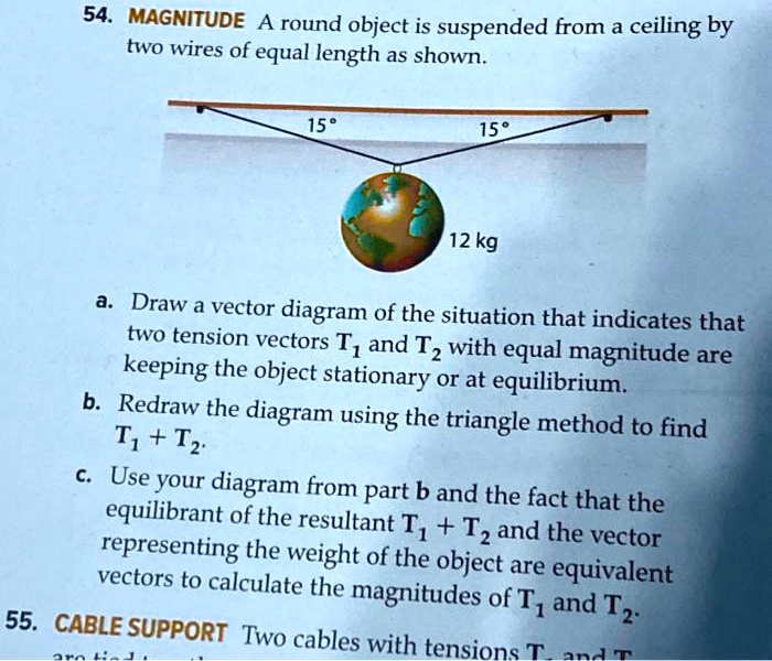 SOLVED: 54. MAGNITUDE A round object is suspended from a ceiling by two wires of equal length as ...