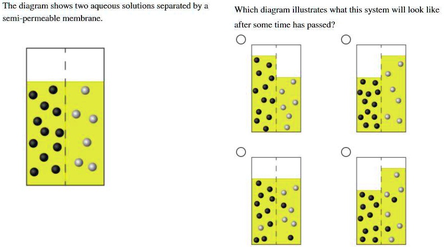 the diagram shows two aqueous solutions separated by semi permeable ...