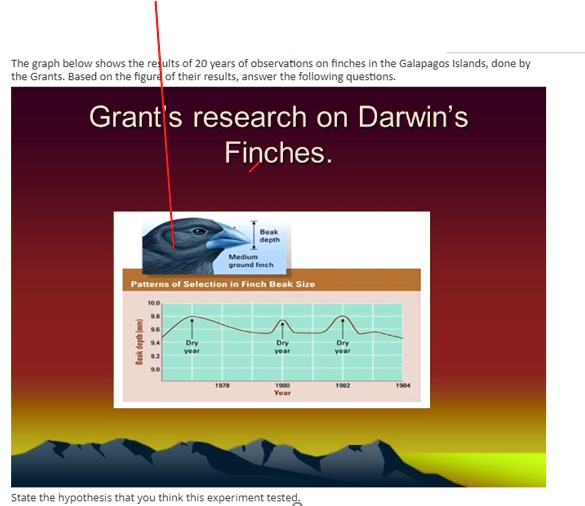 SOLVED: The graph below shows the results of 20 years of observations ...