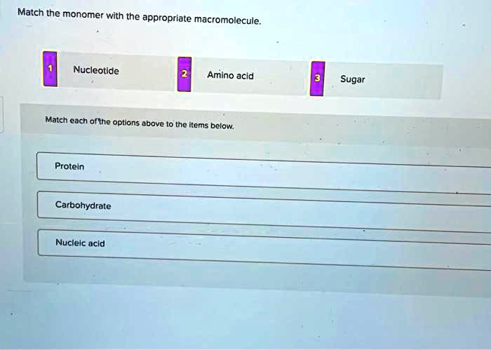 SOLVED: Match the monomer with the appropriate macromolecule ... SOLVED: Match the monomer with the appropriate macromolecule ...
