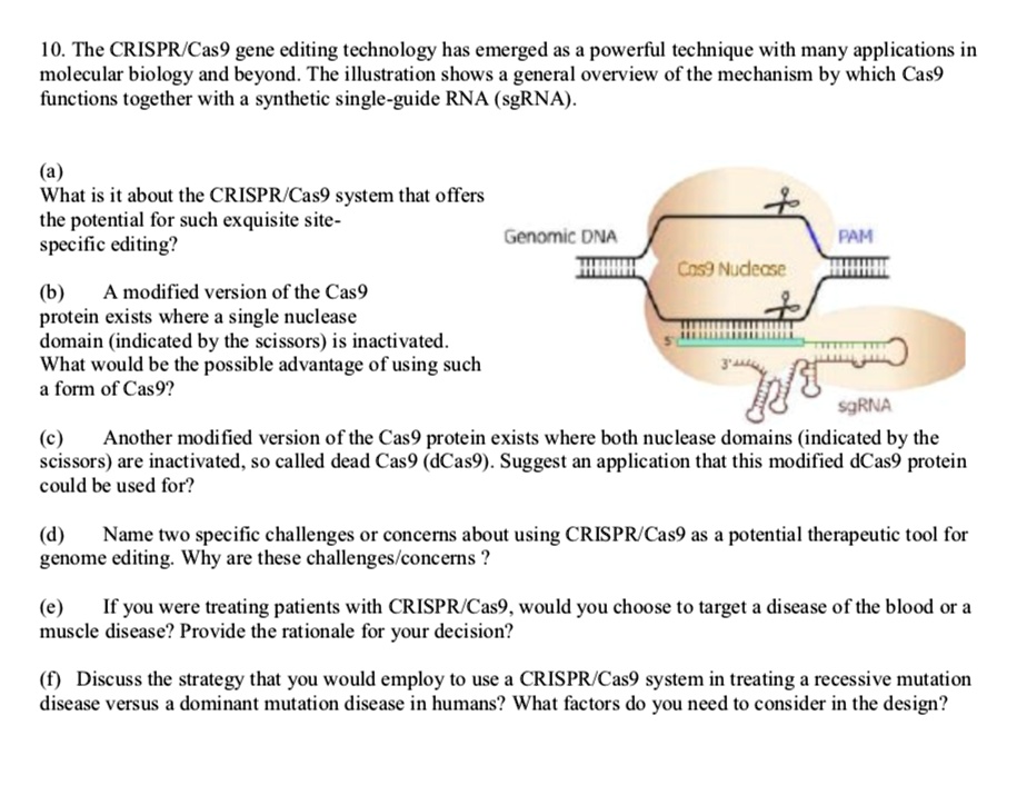 SOLVED: 10. The CRISPR/Cas9 gene editing technology has emerged as a ...
